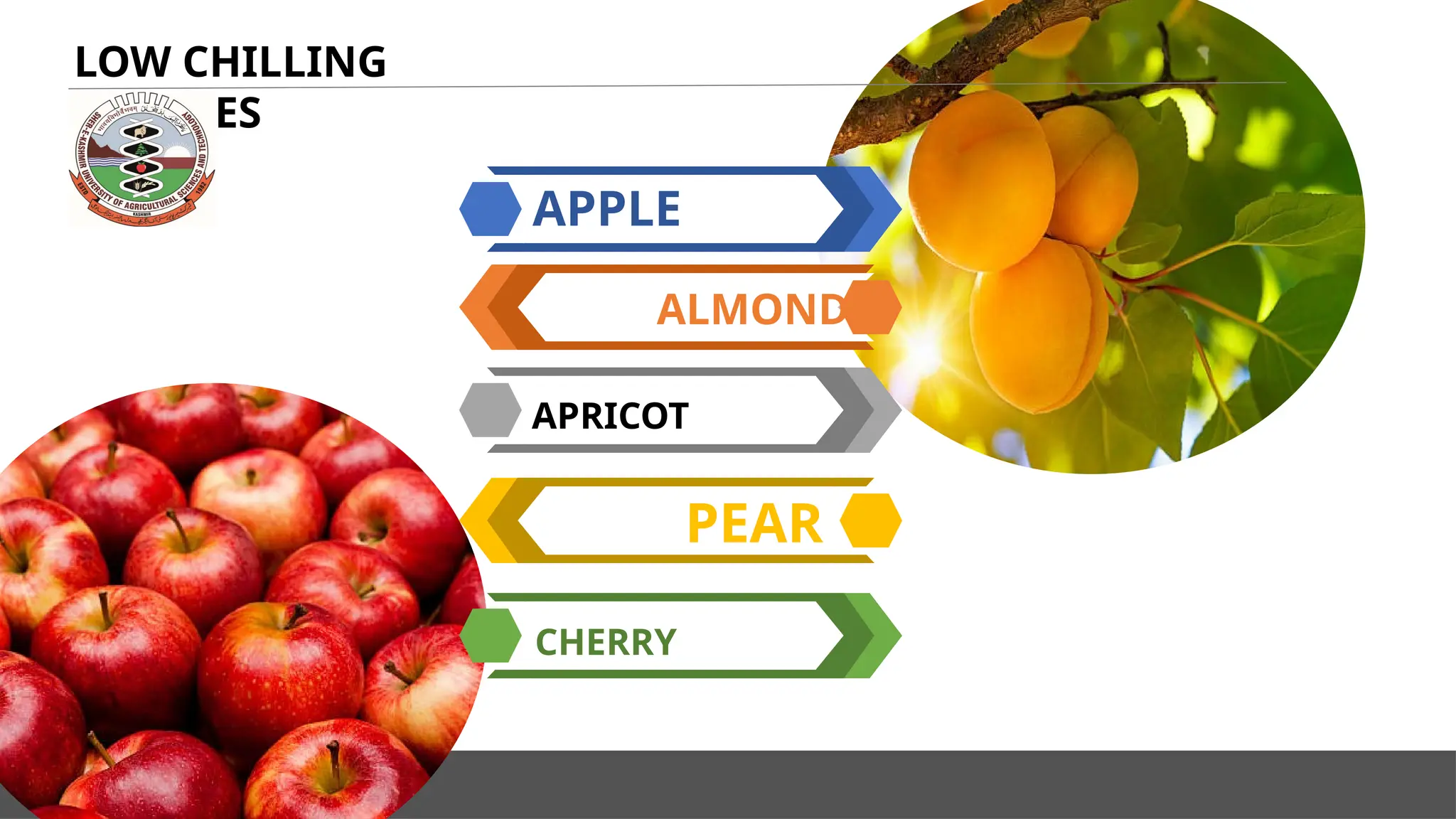CONCEPT OF CHILLING REQUIREMENT AND ITS SIGNIFICANCE IN HORTICULTURAL ...