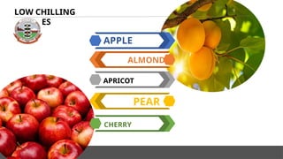 CONCEPT OF CHILLING REQUIREMENT AND ITS SIGNIFICANCE IN HORTICULTURAL ...
