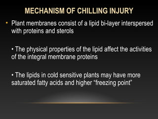Chilling stress and its effect in plants | PPT