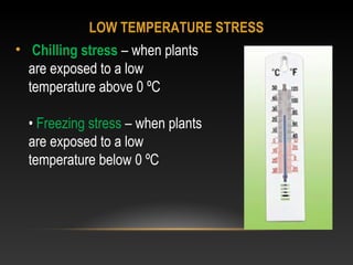 Chilling stress and its effect in plants | PPT