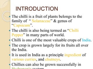 Chilli ppt | PPTX