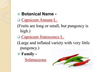 Chilli ppt | PPTX