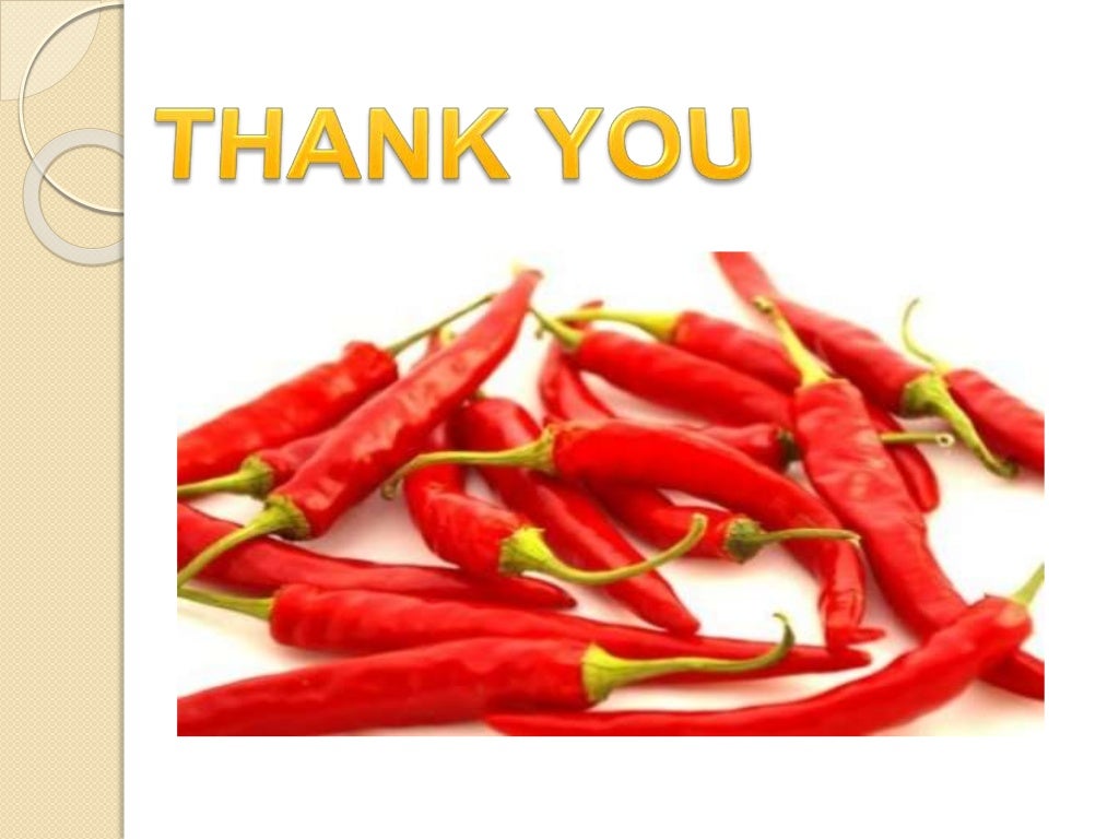 Chilli ppt