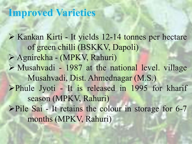 Chilli ppt | PPTX | Agriculture | Industries