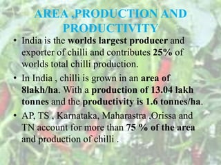 Chilli ppt | PPTX
