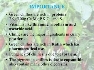 Chilli ppt | PPTX