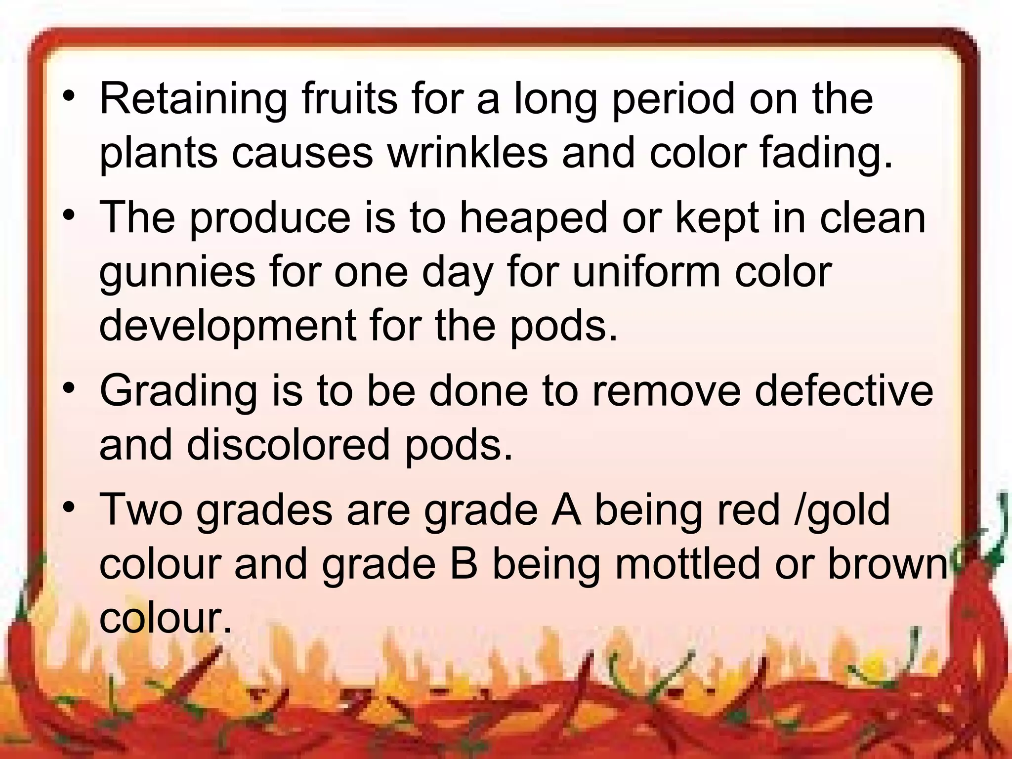 Chilli- crop plantation- management | PPT