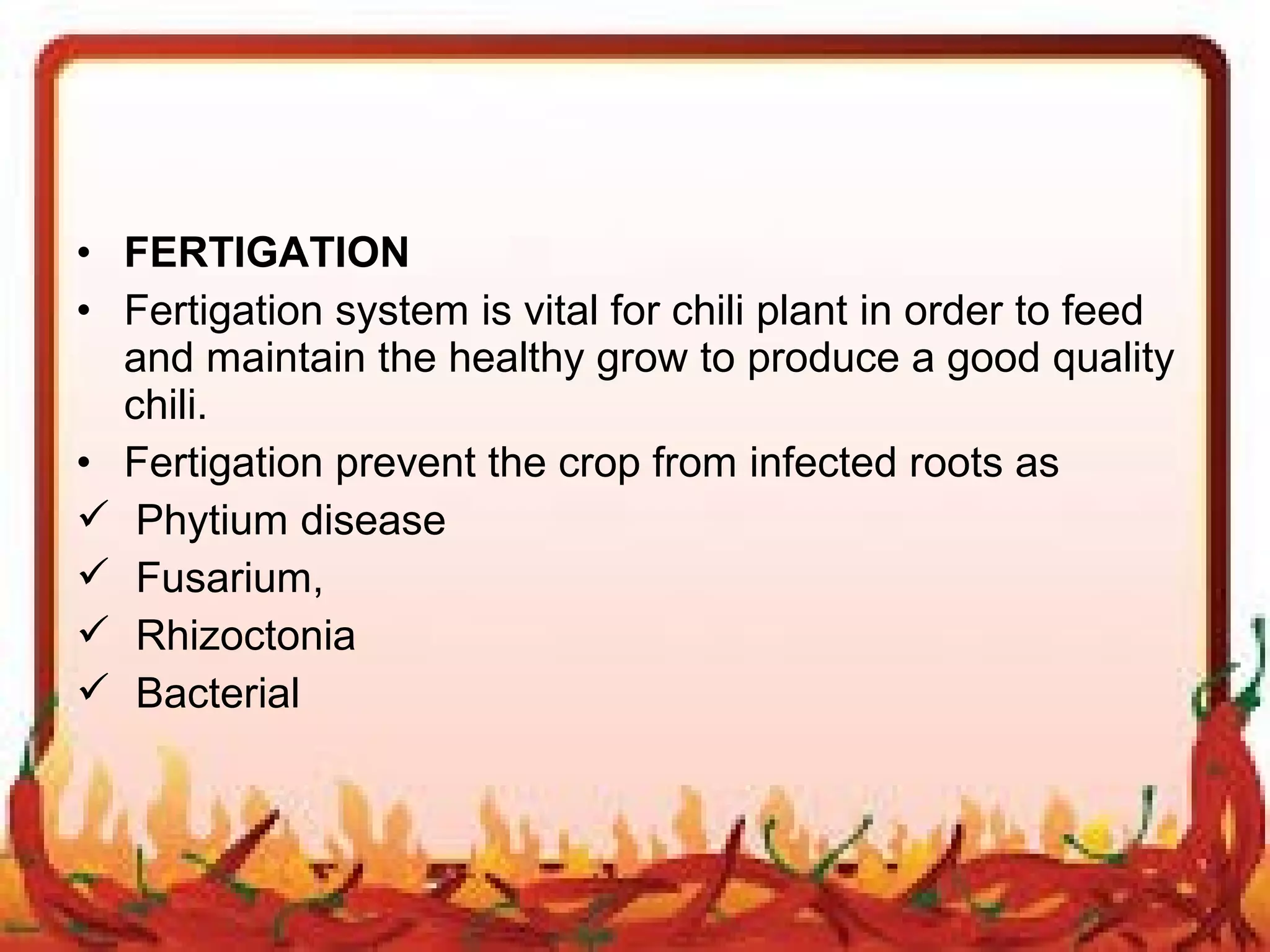 Chilli- crop plantation- management | PPT