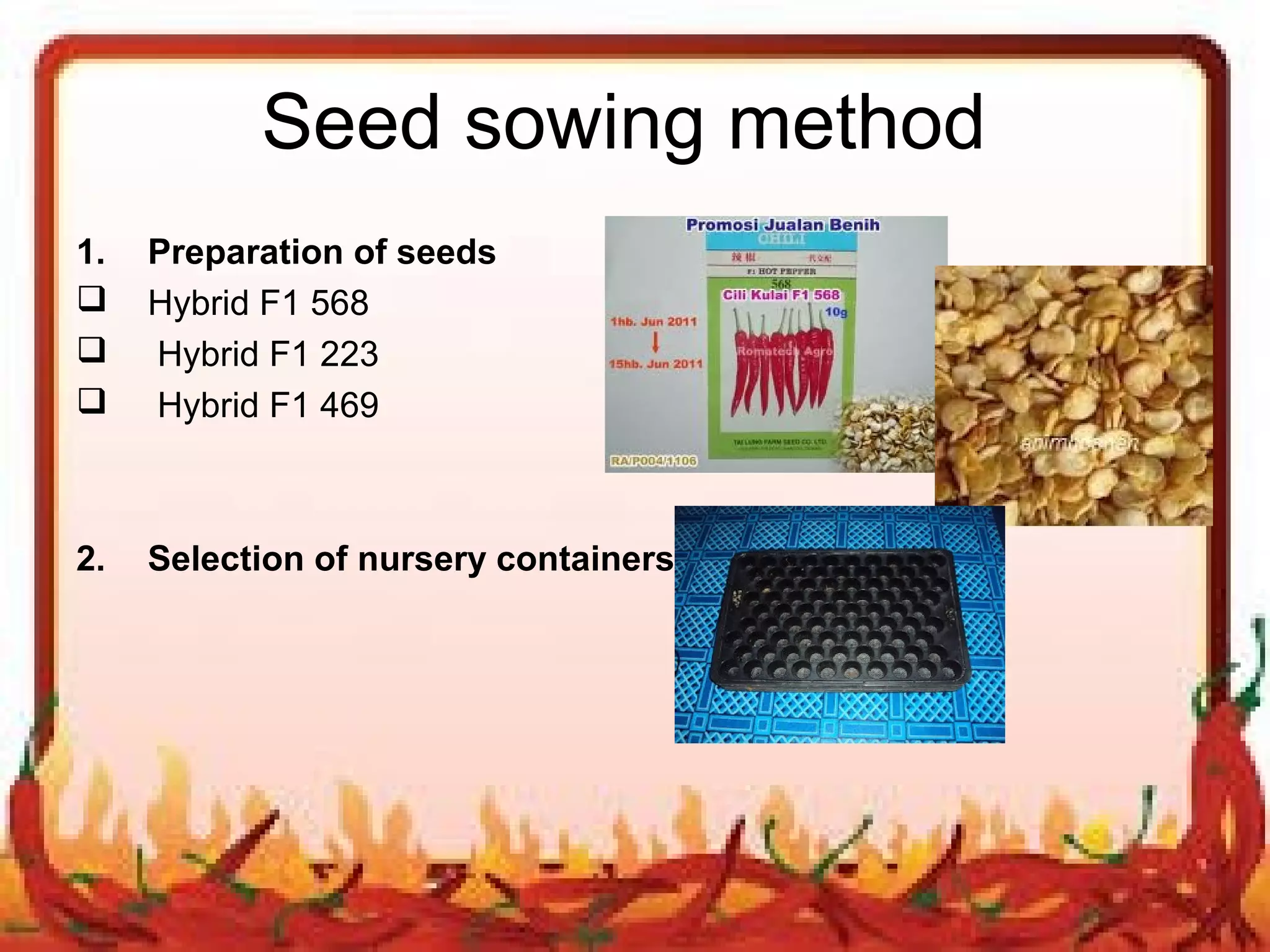 Chilli- crop plantation- management | PPT