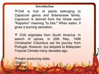 Chilli- crop plantation- management | PPT