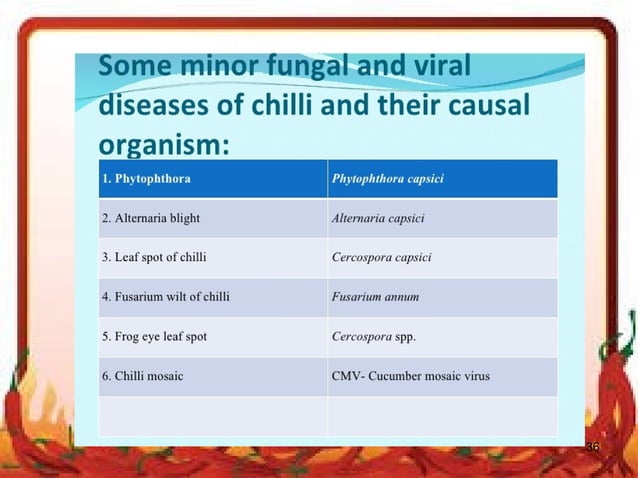 Chilli- crop plantation- management | PPT