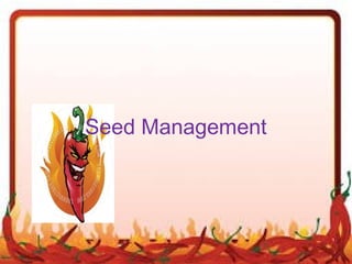 Chilli- crop plantation- management | PPT