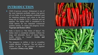Chilli Thrips PPT by Mohit Kondalkar (J) | PPTX | Beekeeping | Hobbies ...