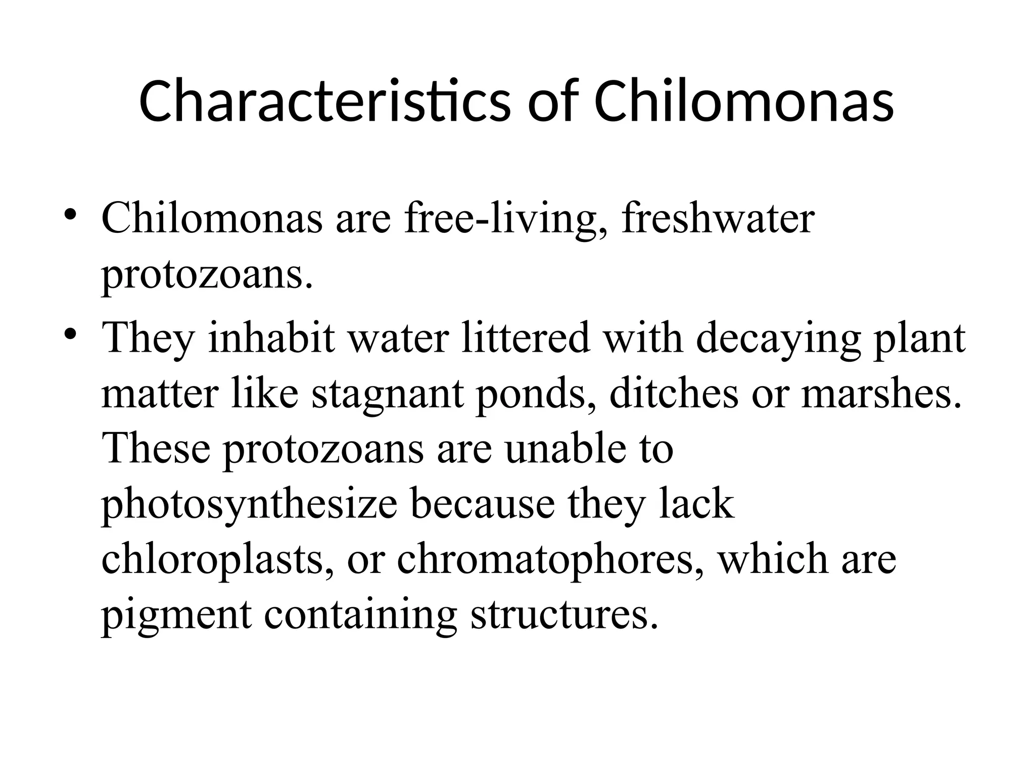 Chilomonas-1.pptx....... . | PPTX