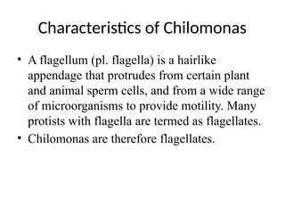 Chilomonas-1.pptx....... . | PPTX