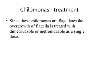 Chilomonas-1.pptx....... . | PPT