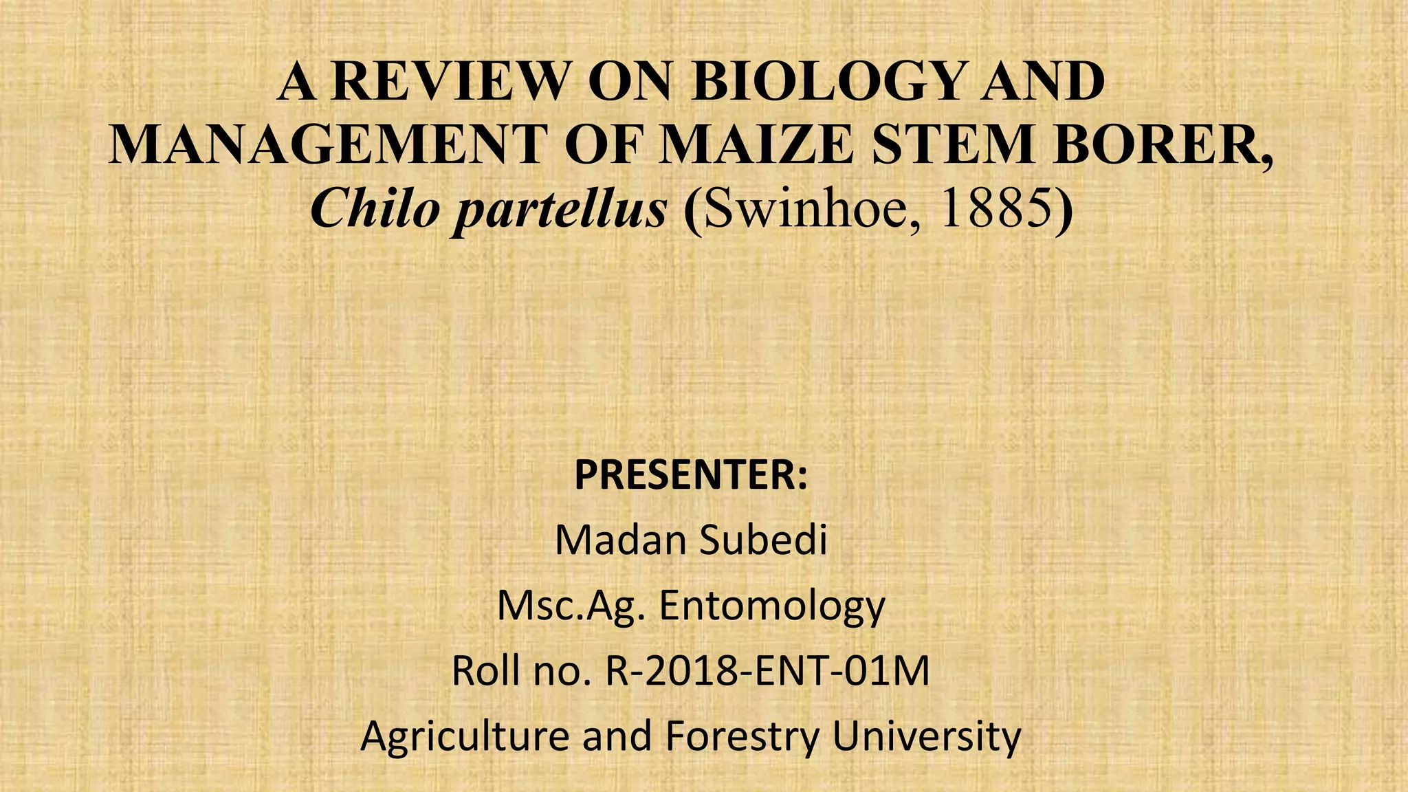 Maize stem borer (Chilo partellus) | PPTX