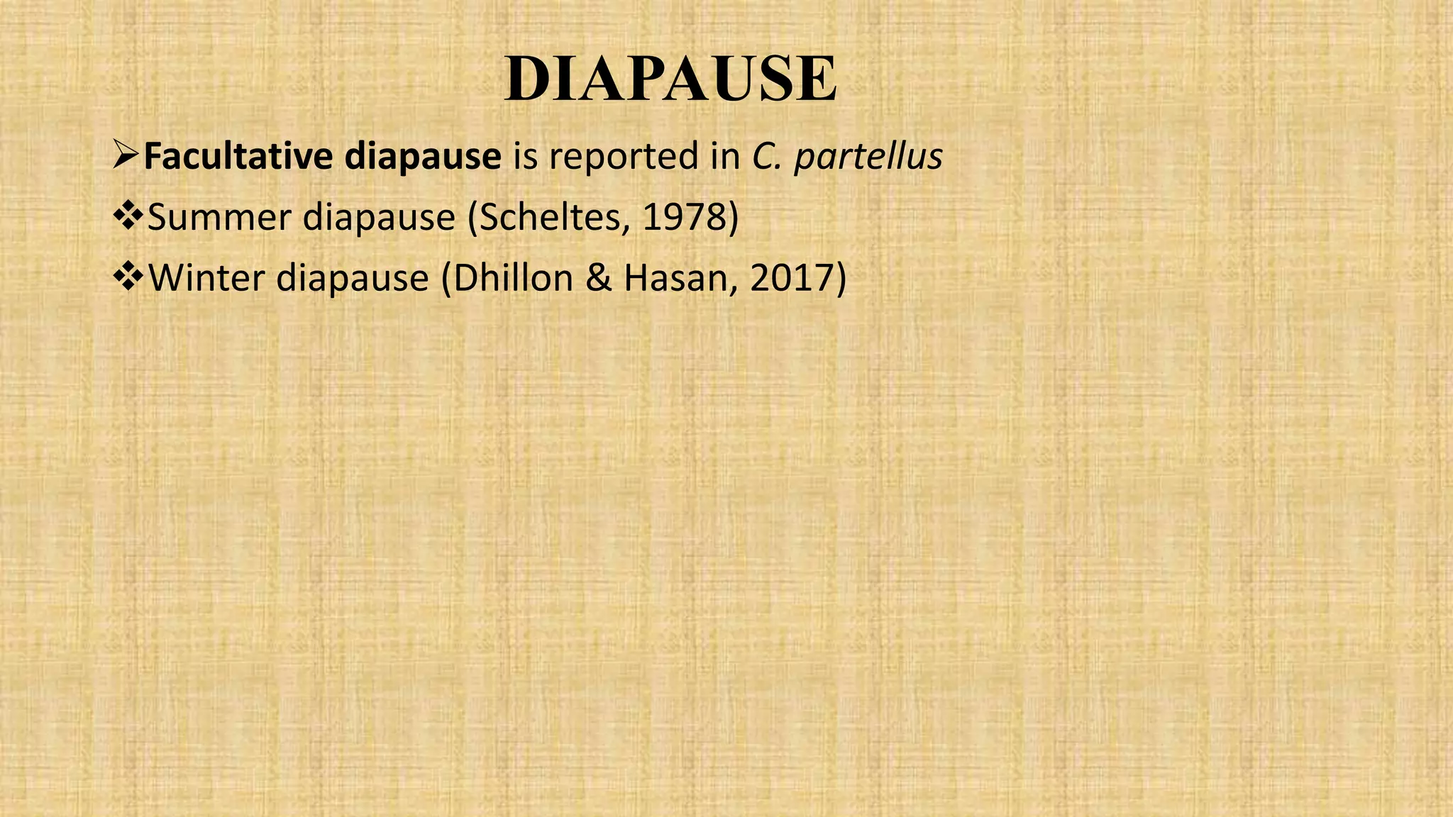 Maize stem borer (Chilo partellus) | PPTX