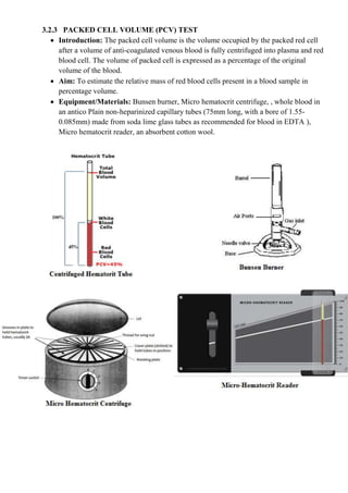 CHIM9-IT report presentation for medical laboratory | DOCX