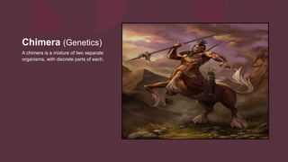 Chimera (genetics) | PPTX