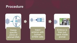 Chimera (genetics) | PPT