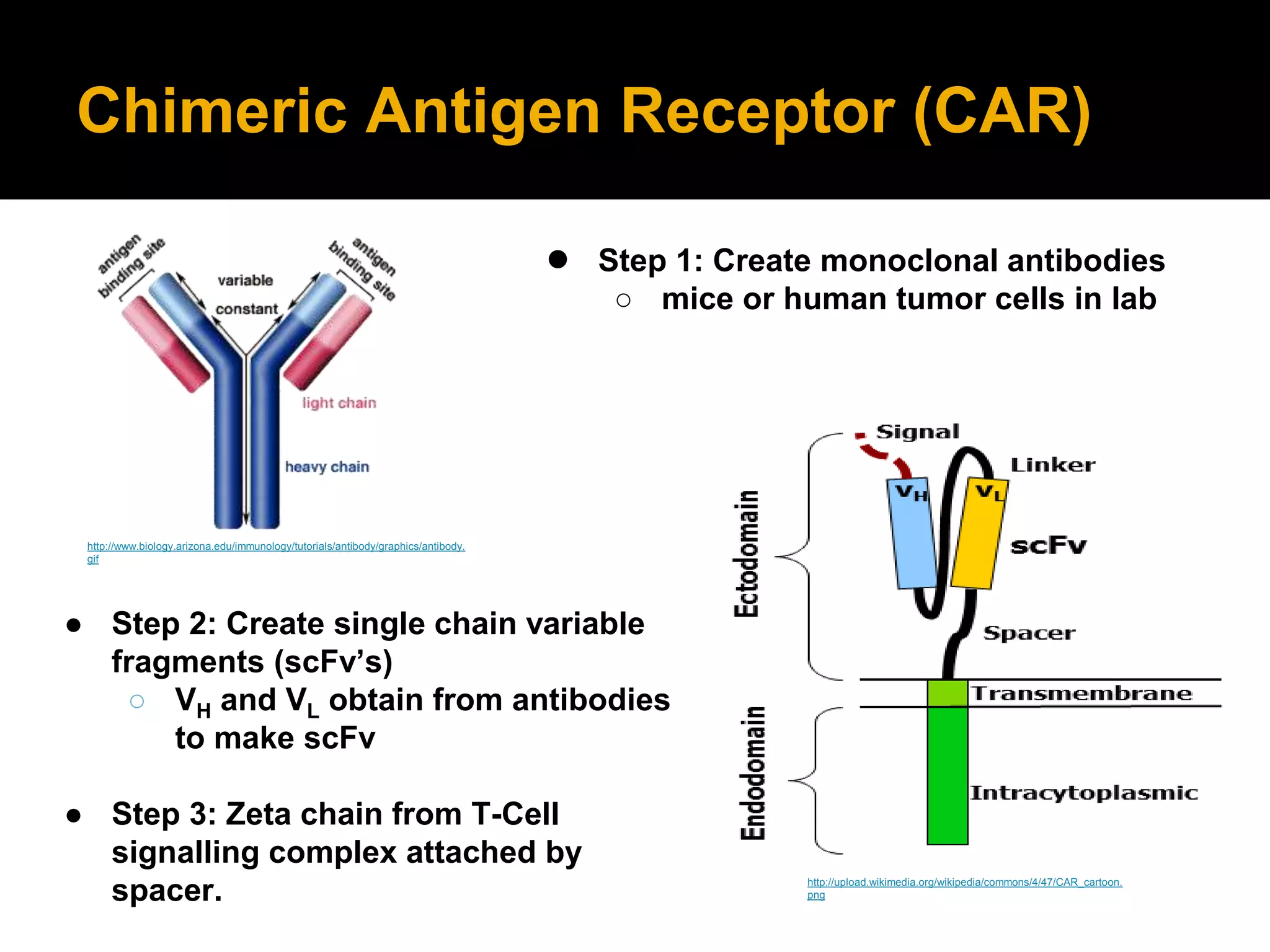Chimeric Antigen Receptors | PPTX