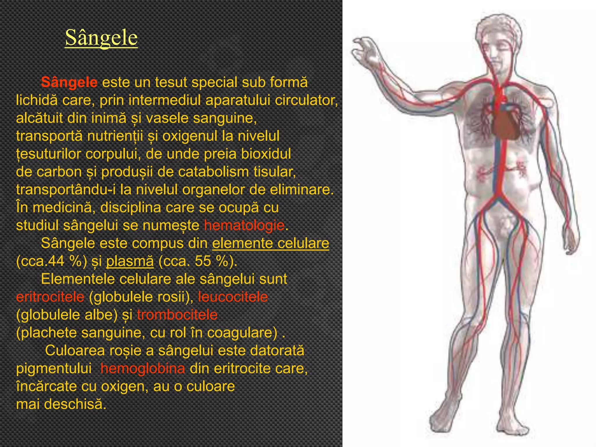 chimia-sistemelor-deschise-biologice.ppt