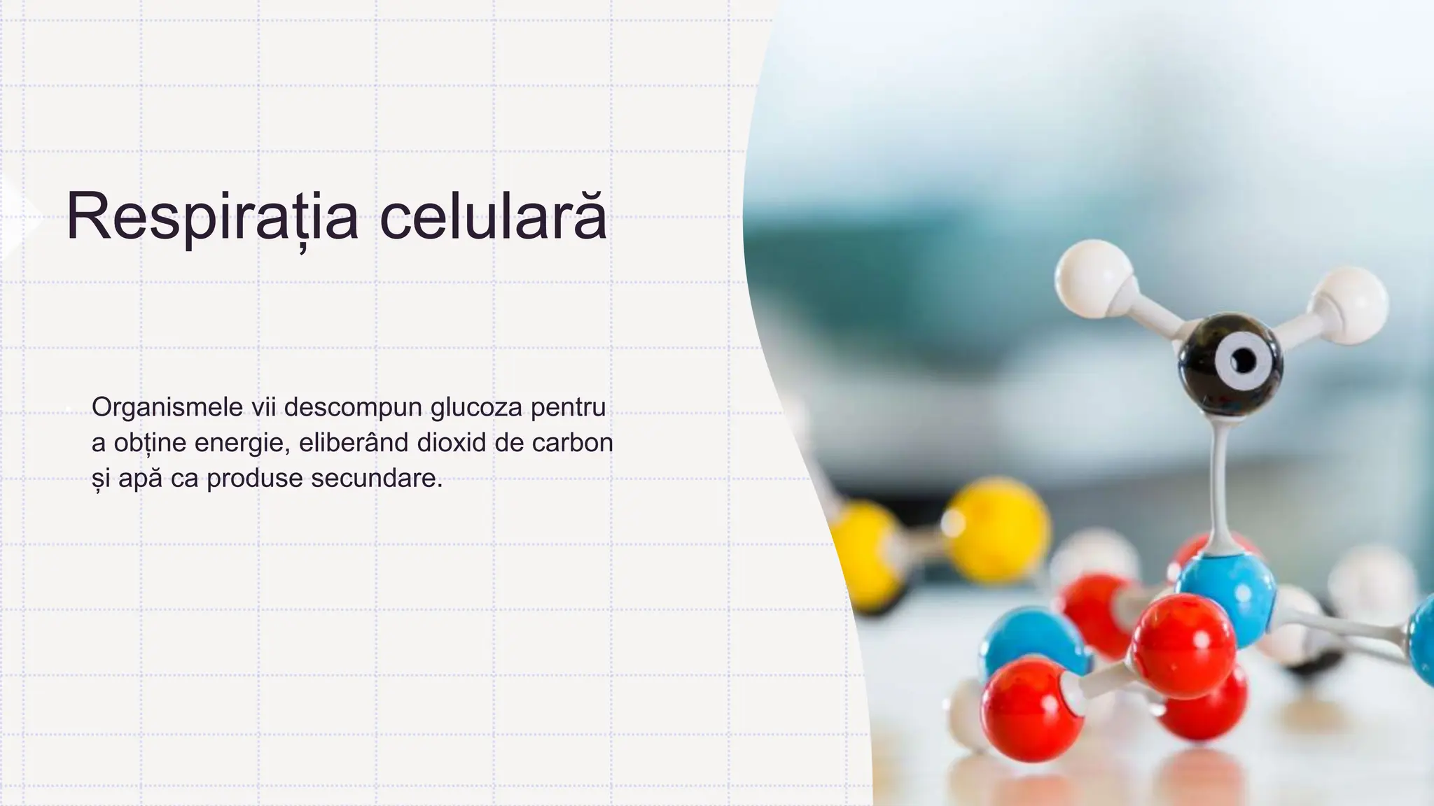 Proiect chimie despre reacțiile chimice in natura | PPTX