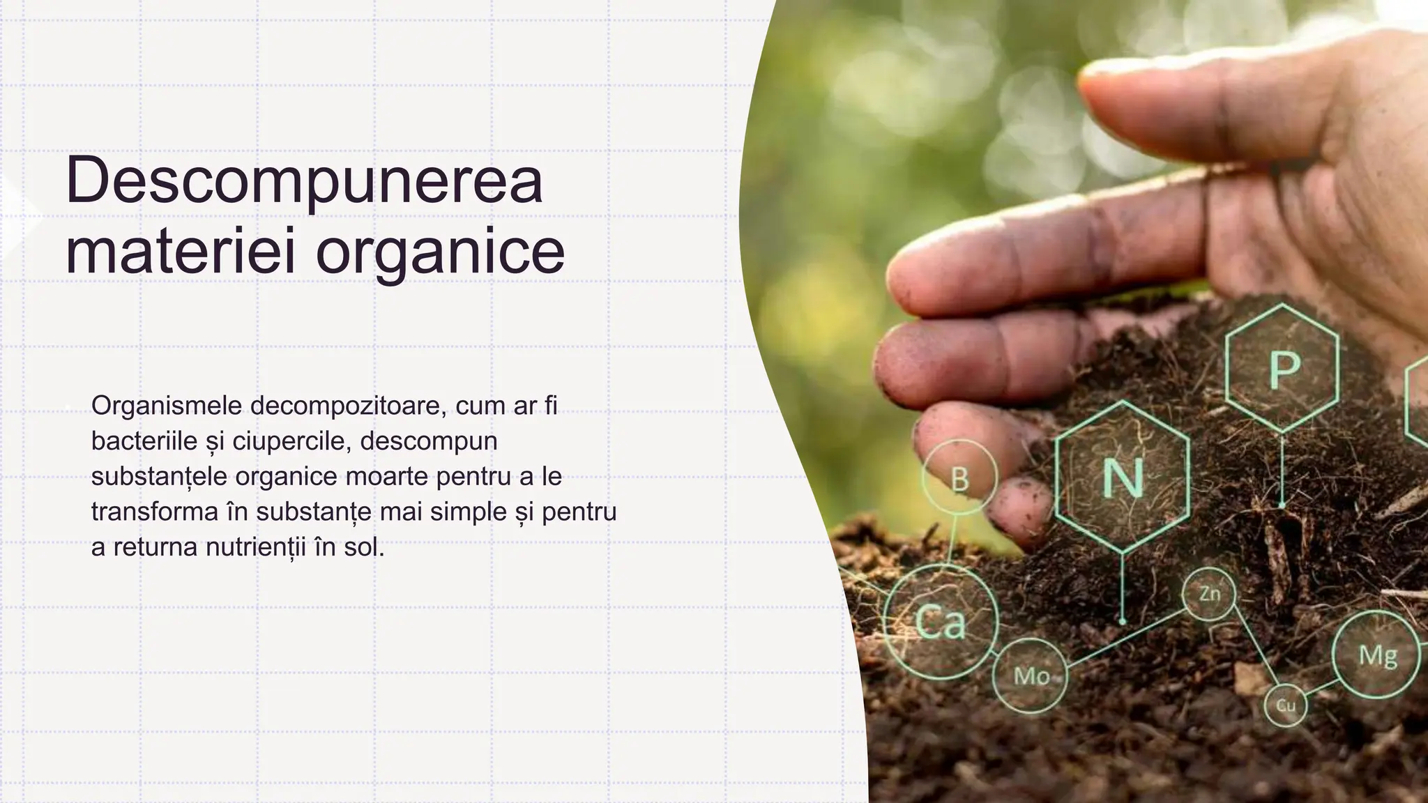 Proiect chimie despre reacțiile chimice in natura | PPTX