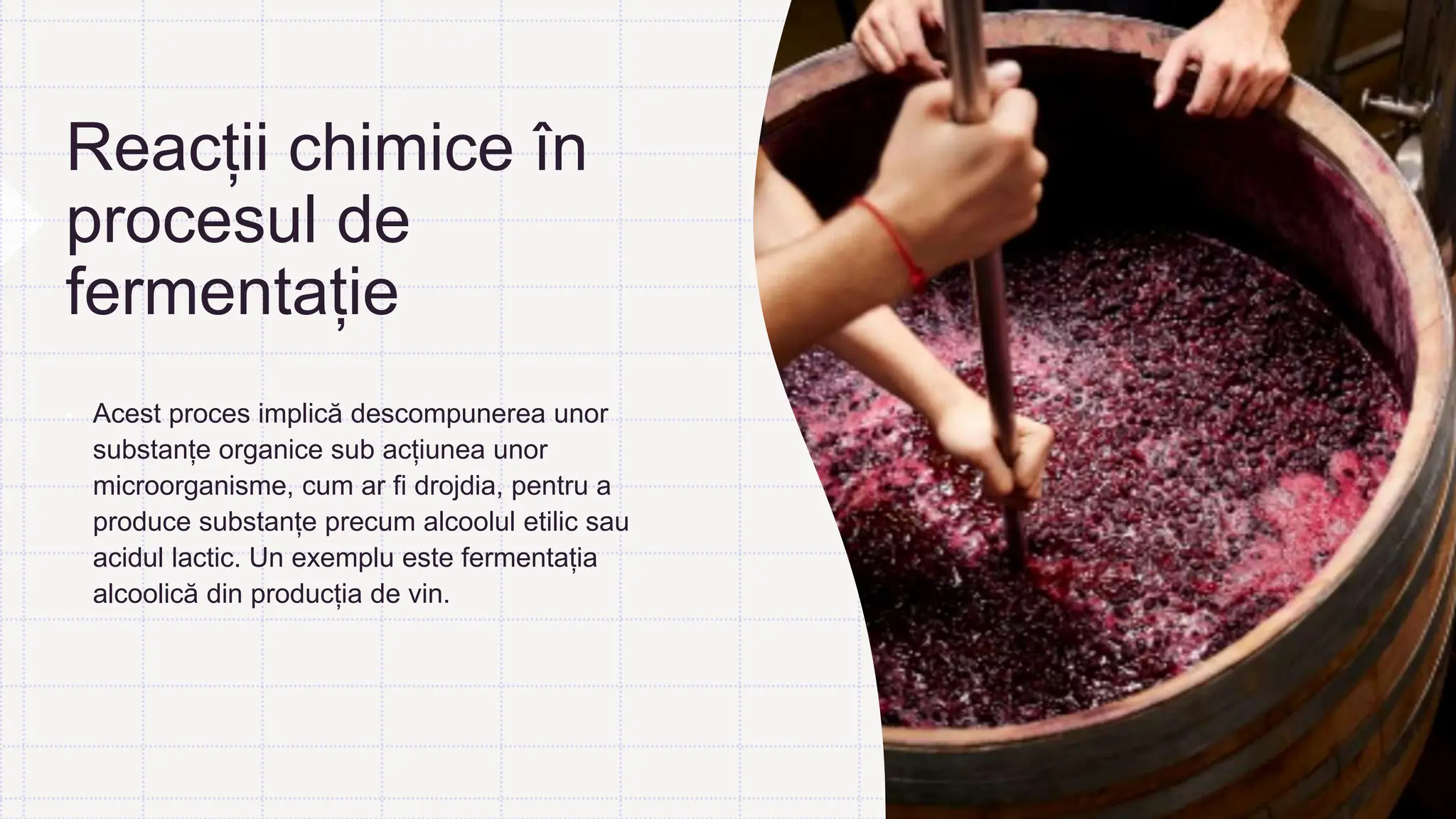 Proiect chimie despre reacțiile chimice in natura | PPTX