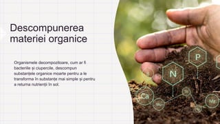 Proiect chimie despre reacțiile chimice in natura | PPTX