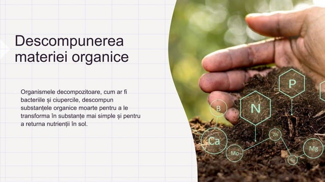 Proiect chimie despre reacțiile chimice in natura | PPTX