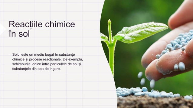 Proiect chimie despre reacțiile chimice in natura | PPTX