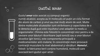 Esențe și parfumuri | PPTX