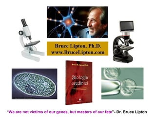 Chimie sau biologie | PPT