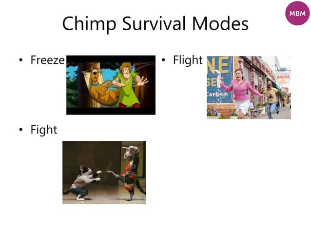 Dealing with Conflict - The Chimp Mind Model | PPTX