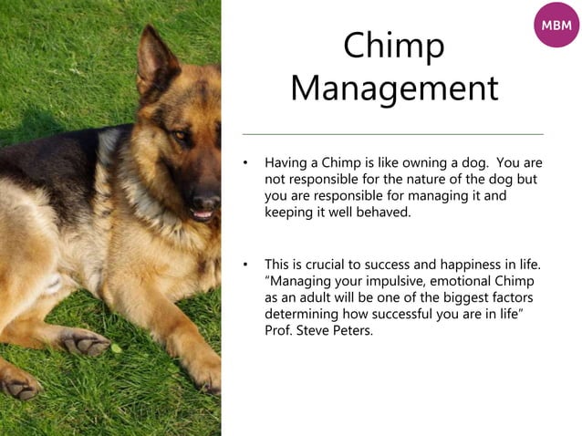 Dealing with Conflict - The Chimp Mind Model | PPTX