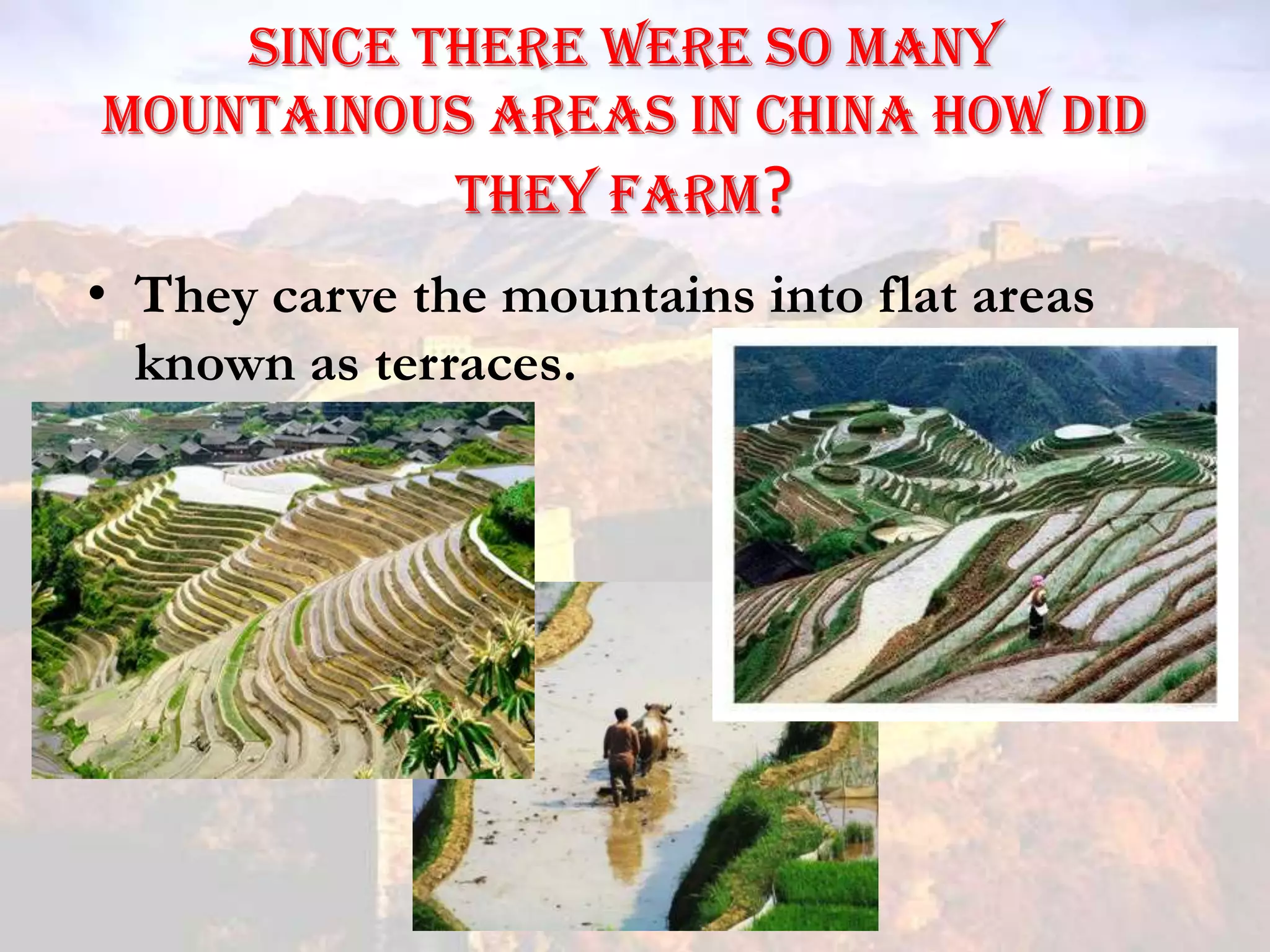 China Cheat Sheet Part2 Web | PPTX