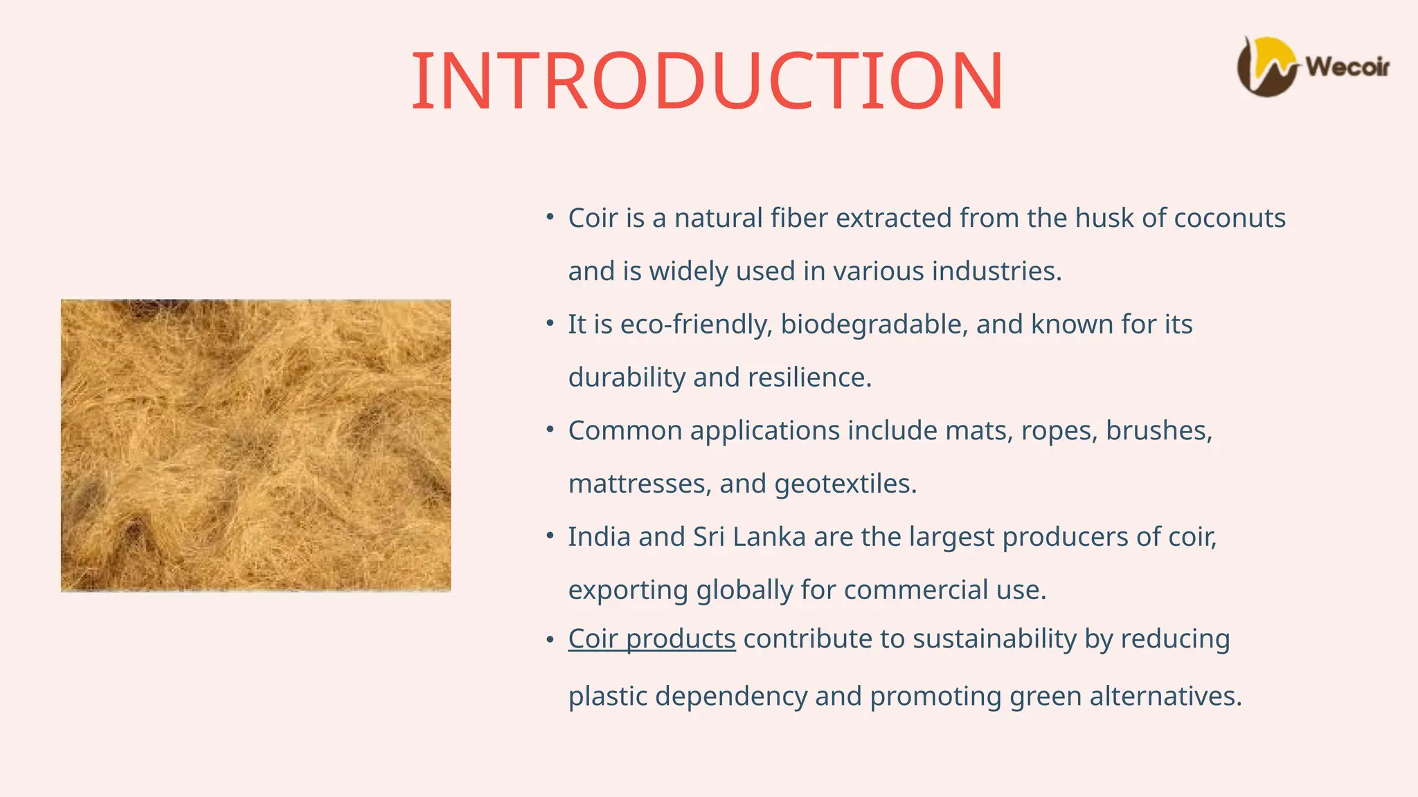 China Coir and Coir Cake Sustainable Coir Solutions.pptx