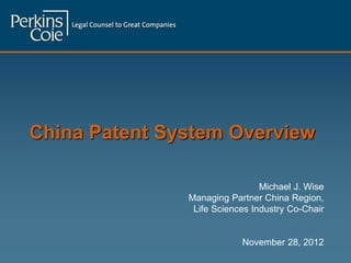 China Patent System Overview | PDF
