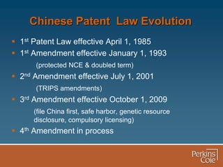 China Patent System Overview | PDF