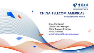 China Telecom Americas - General Overview | PPTX
