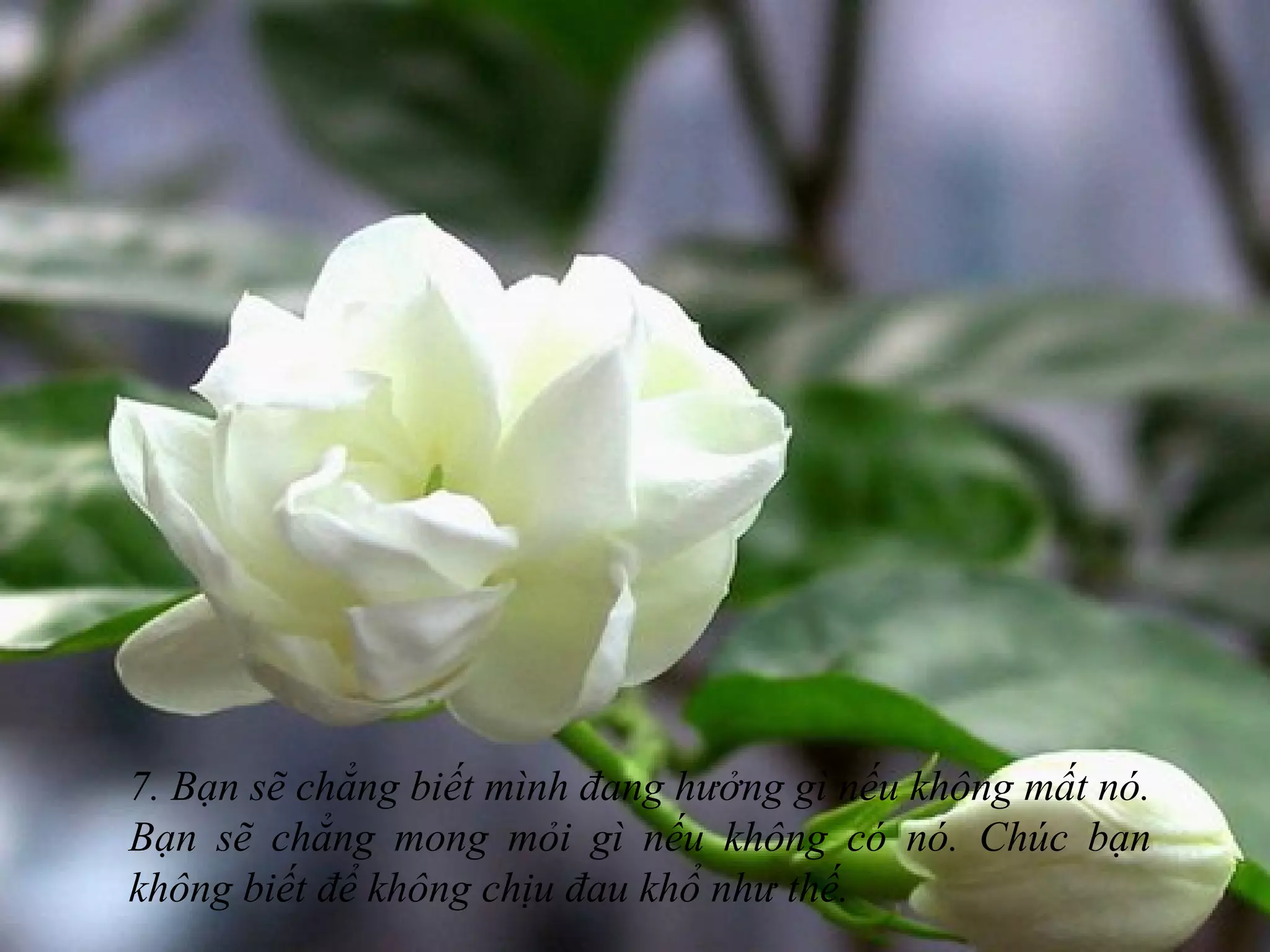 Chin dieu thay cuoc doi dang song | PPT