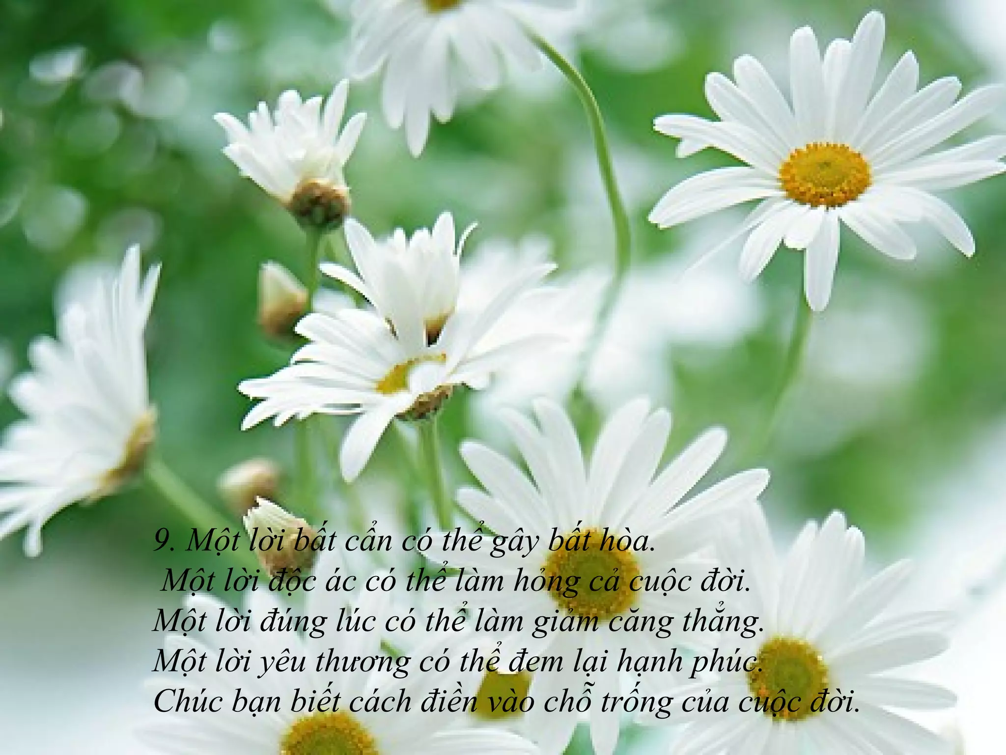 Chin dieu thay cuoc doi dang song | PPT