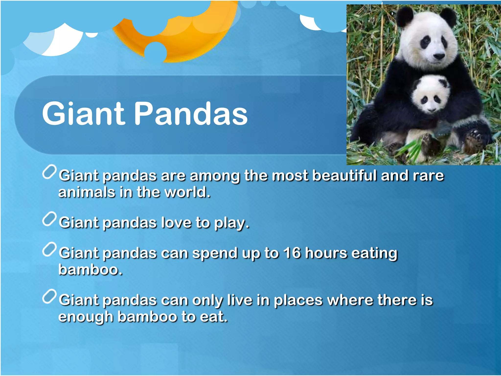 Chinese animals | PPTX