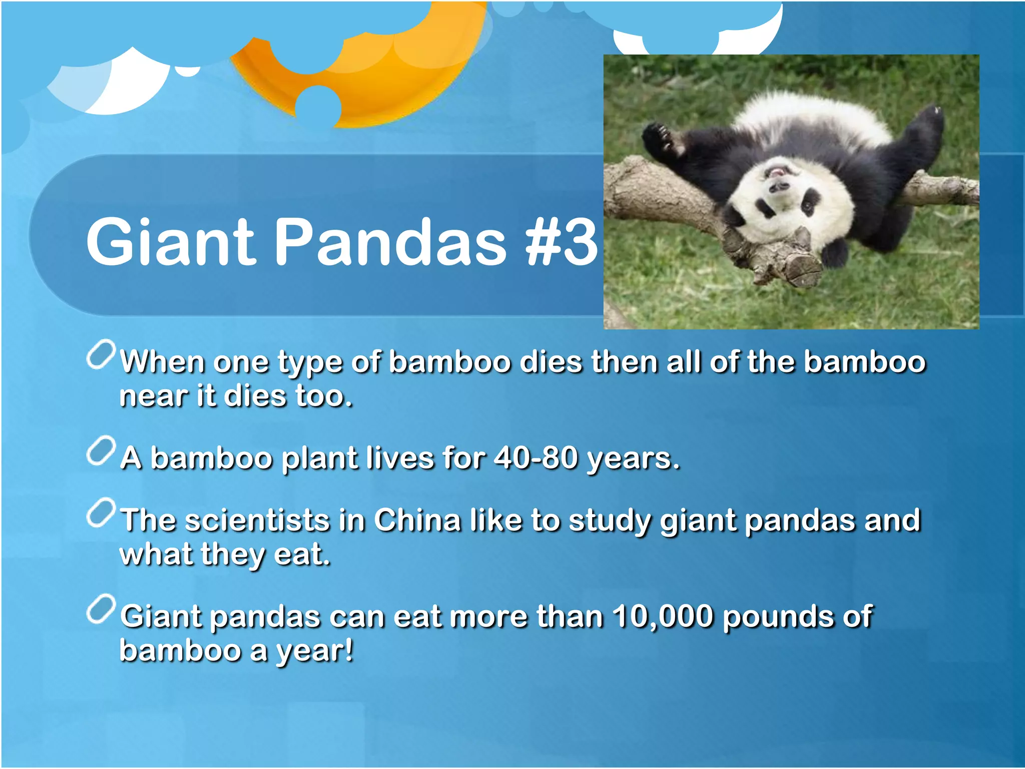 Chinese animals | PPTX