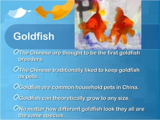 Chinese animals | PPTX
