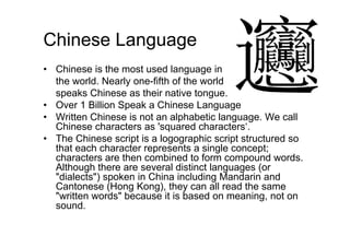 Chinese basics and translation guide | PDF