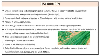 Chinese Chive underutilized veg armita .pdf