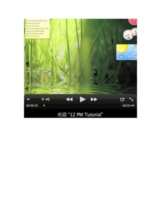 Puff Tutorial in Chinese | PDF